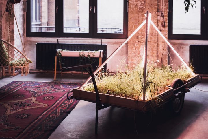 INFARM Indoor Farming · Berlin - IGNANT