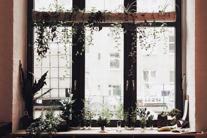 INFARM Indoor Farming · Berlin - IGNANT