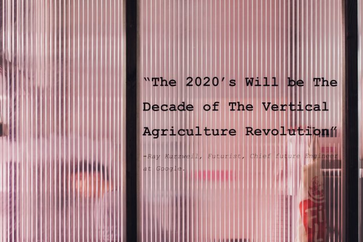 INFARM Indoor Farming · Berlin - IGNANT