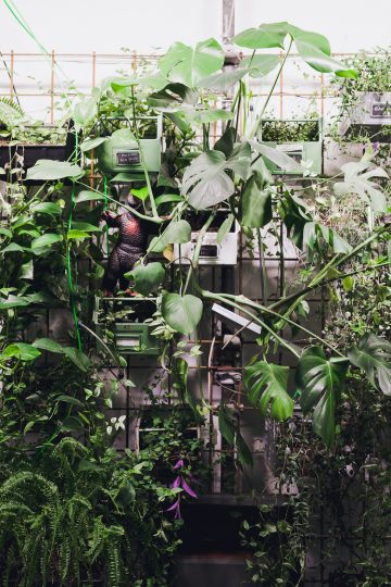 INFARM Indoor Farming · Berlin - IGNANT