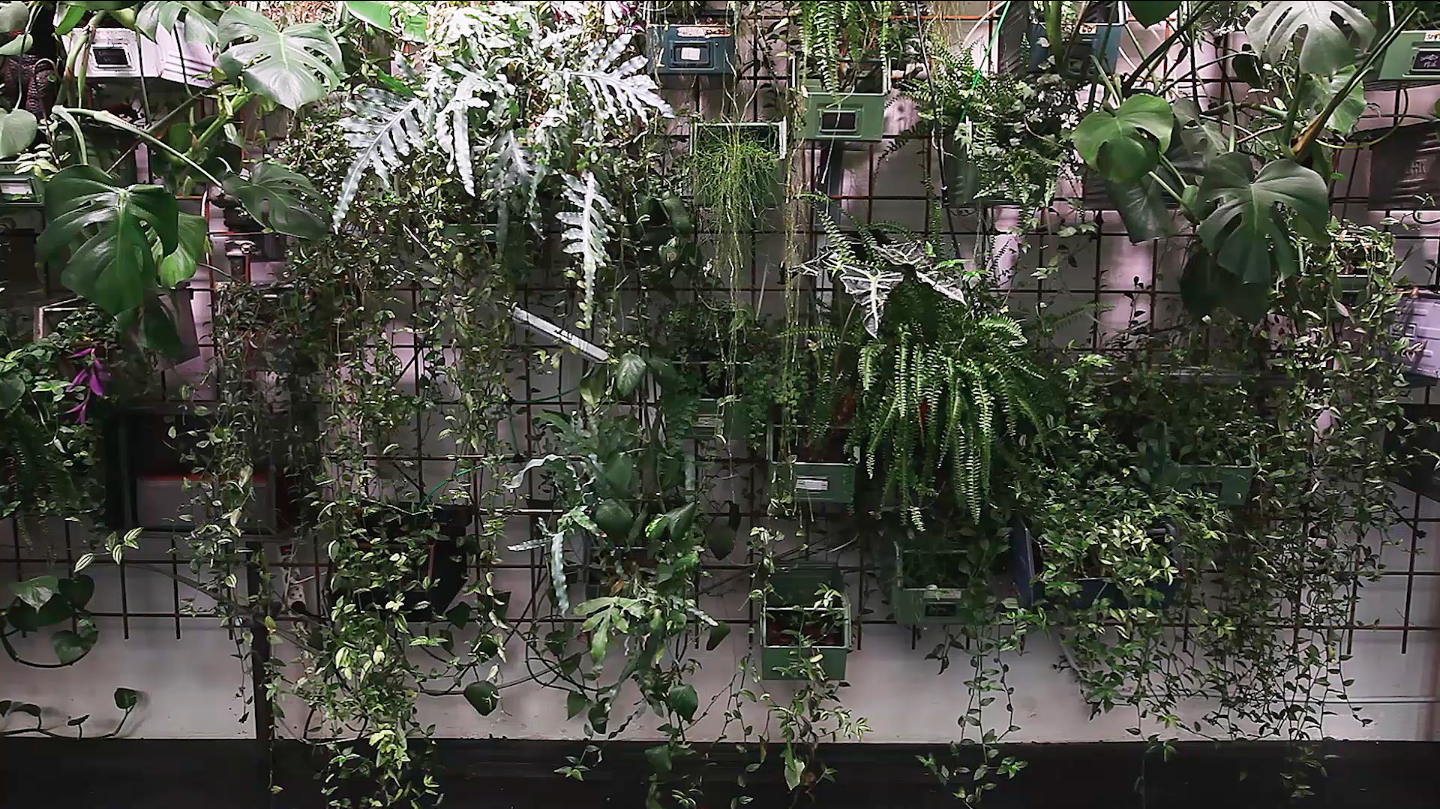 INFARM Indoor Farming · Berlin - IGNANT