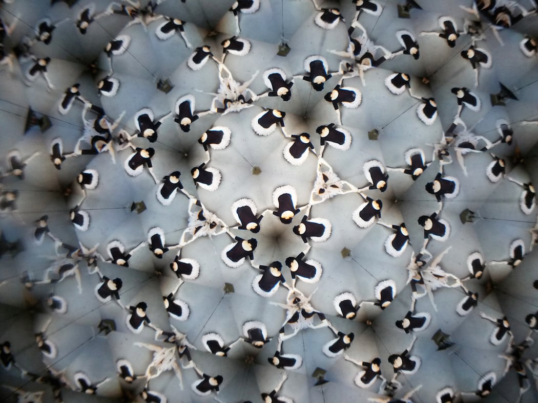 Mesmerizing Kaleidoscope Photographs By Laura Zalenga - IGNANT
