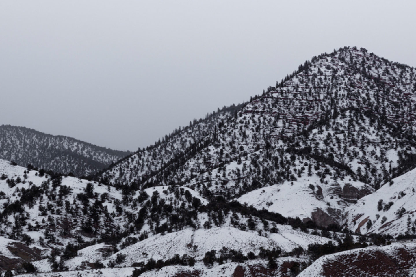 Modern Girls by Pascal Pierrou - IGNANT