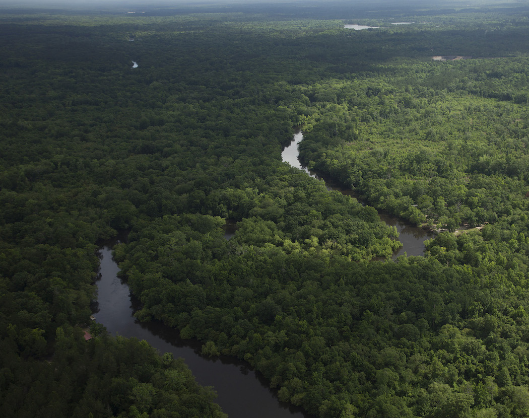 Life Along The Ogeechee River Captured By Stephen Milner - IGNANT