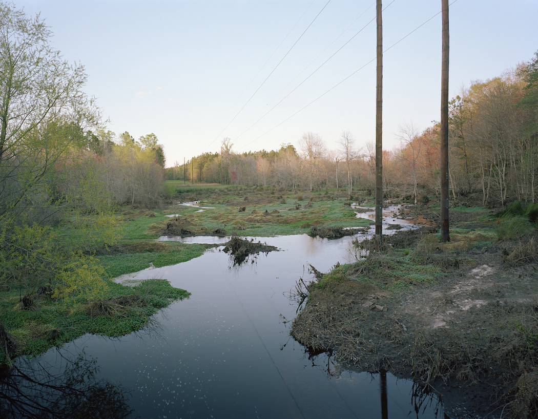Life Along The Ogeechee River Captured By Stephen Milner - IGNANT