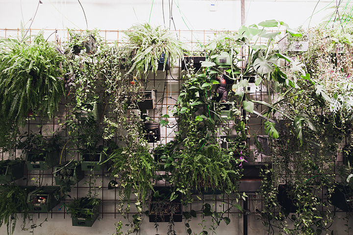 INFARM Indoor Farming · Berlin - IGNANT