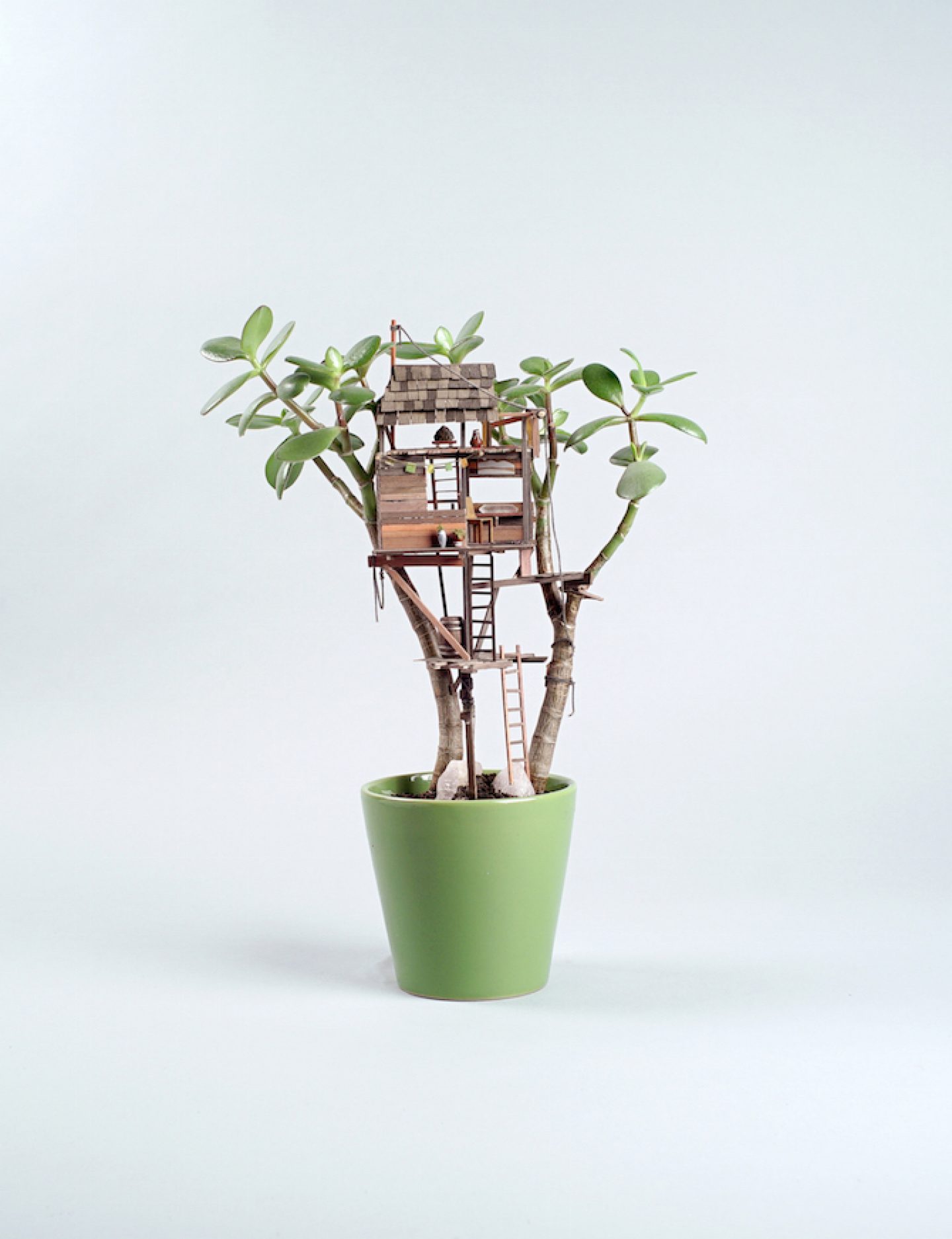 Miniature Tree Huts For House Plants - IGNANT