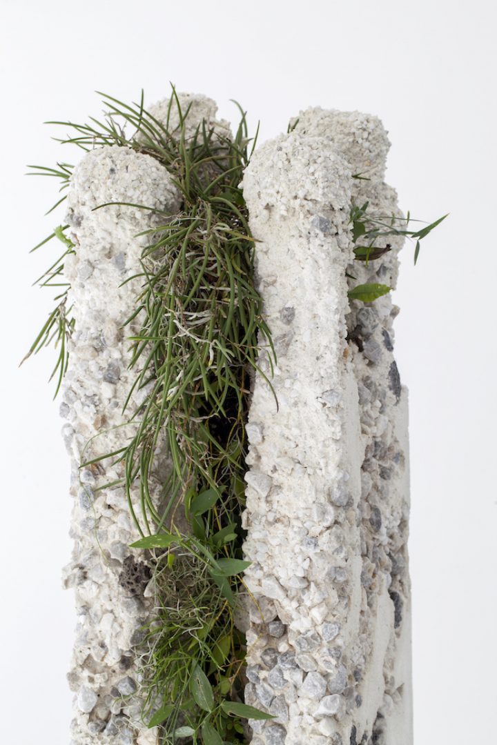 Jamie North Fills Concrete With Australian Plants - IGNANT