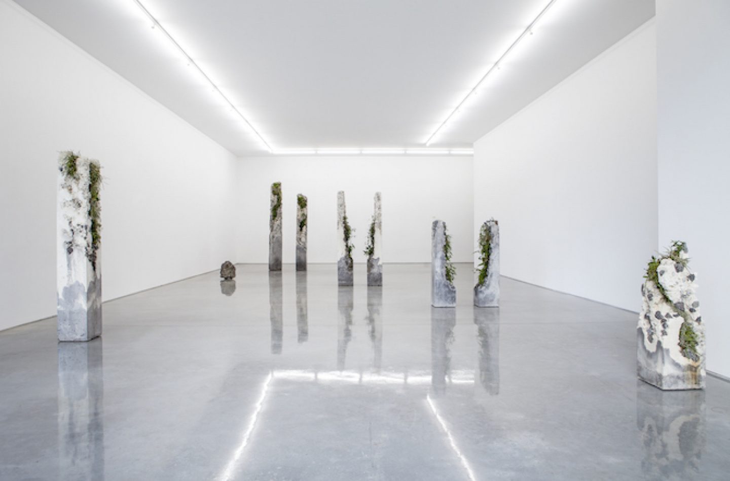 Jamie North Fills Concrete With Australian Plants - IGNANT