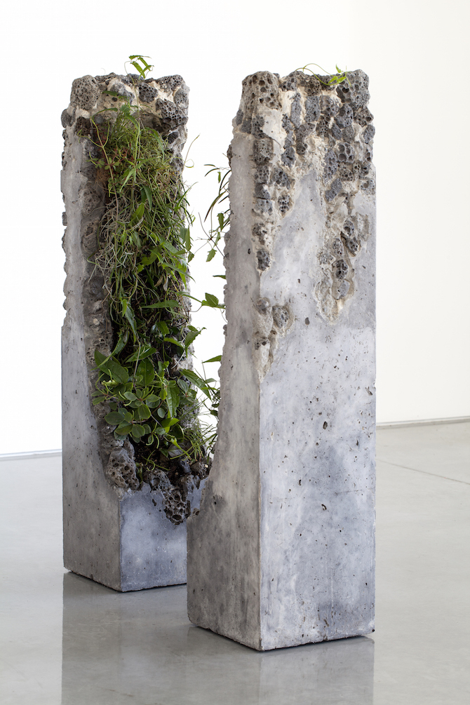 Jamie North Fills Concrete With Australian Plants - IGNANT