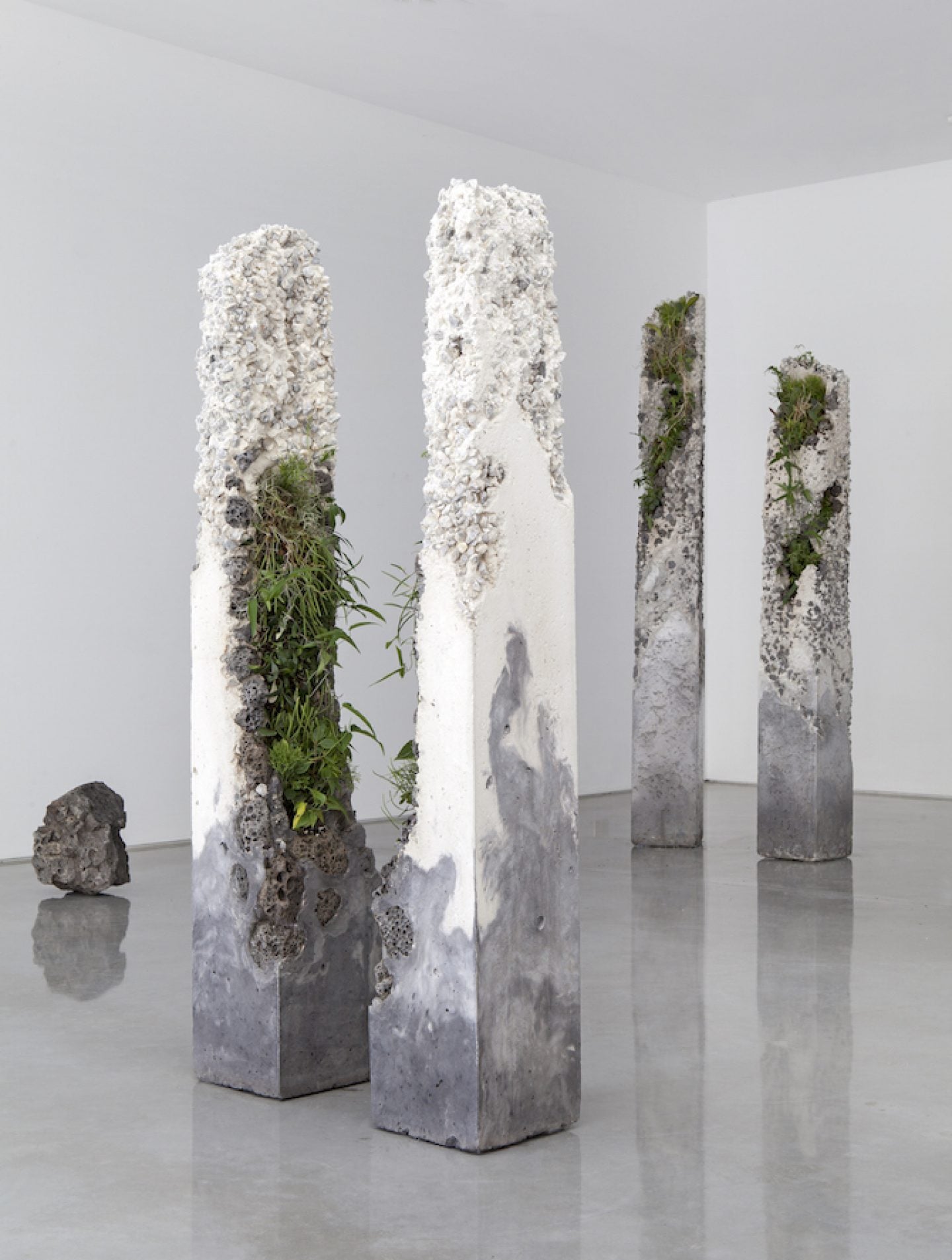 Jamie North Fills Concrete With Australian Plants - IGNANT