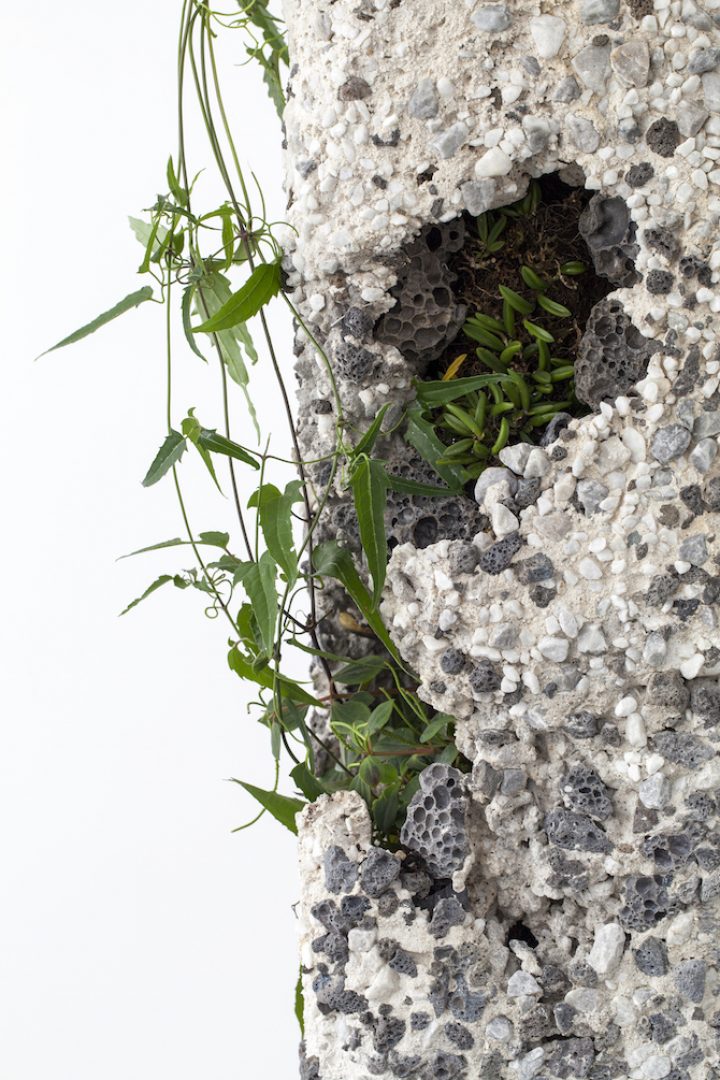 Jamie North Fills Concrete With Australian Plants - IGNANT