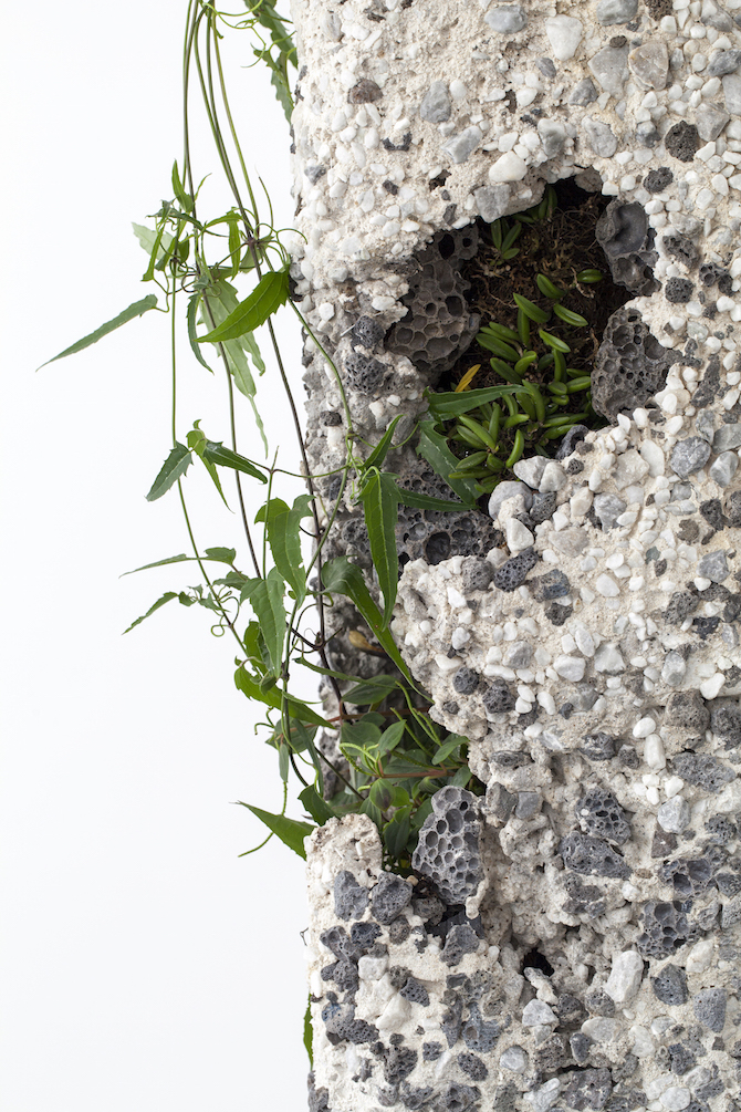 Jamie North Fills Concrete With Australian Plants - IGNANT