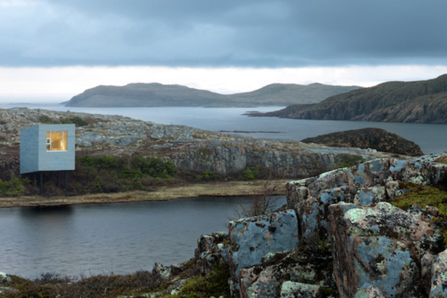 A Tangled Residential Complex: Akihisa Hirata's Tree-Ness House - IGNANT