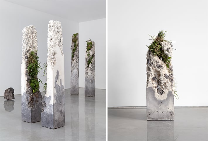 Jamie North Fills Concrete With Australian Plants - IGNANT