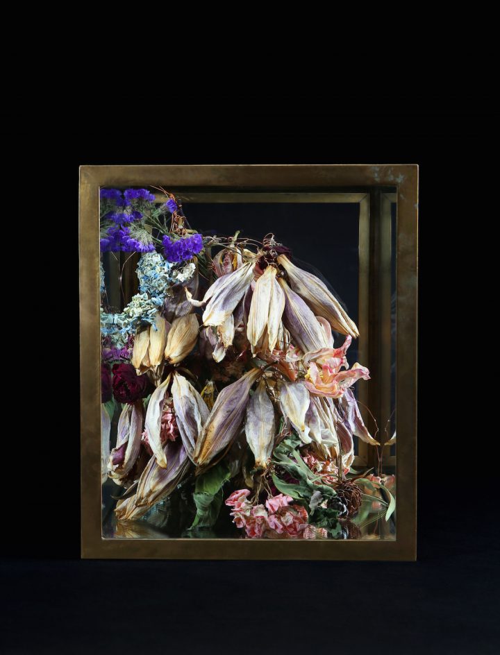 Capturing A Flower's Fragility - IGNANT