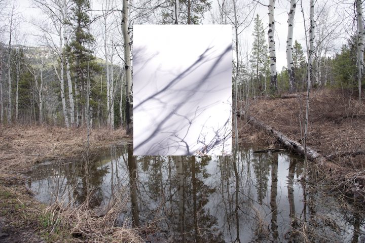 Transforming The Romantic Vista - IGNANT