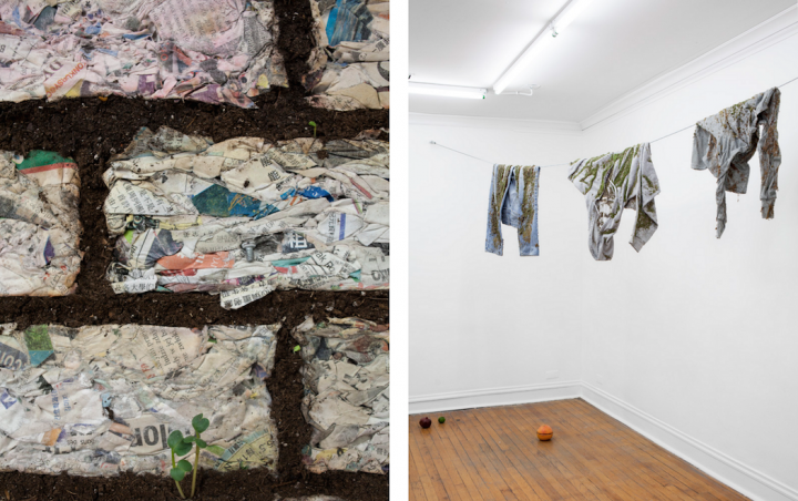 Bea Fremdermann Lets Nature Take Back The New World - IGNANT