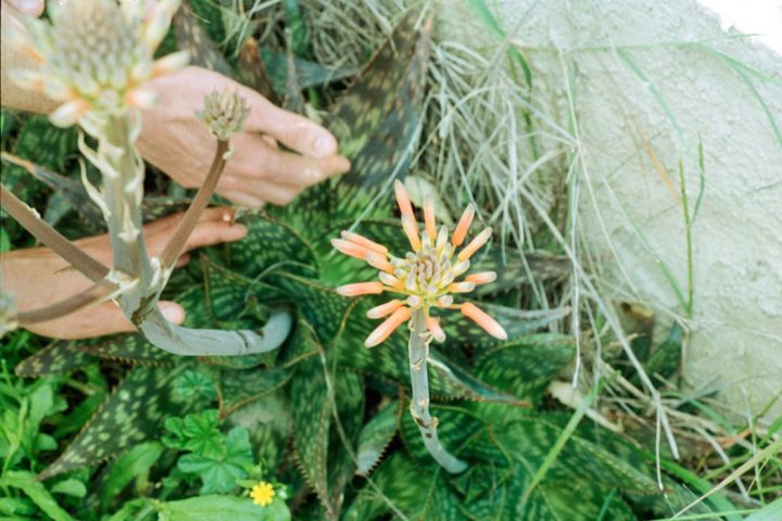 Capturing The Last Summers Of Youth - IGNANT