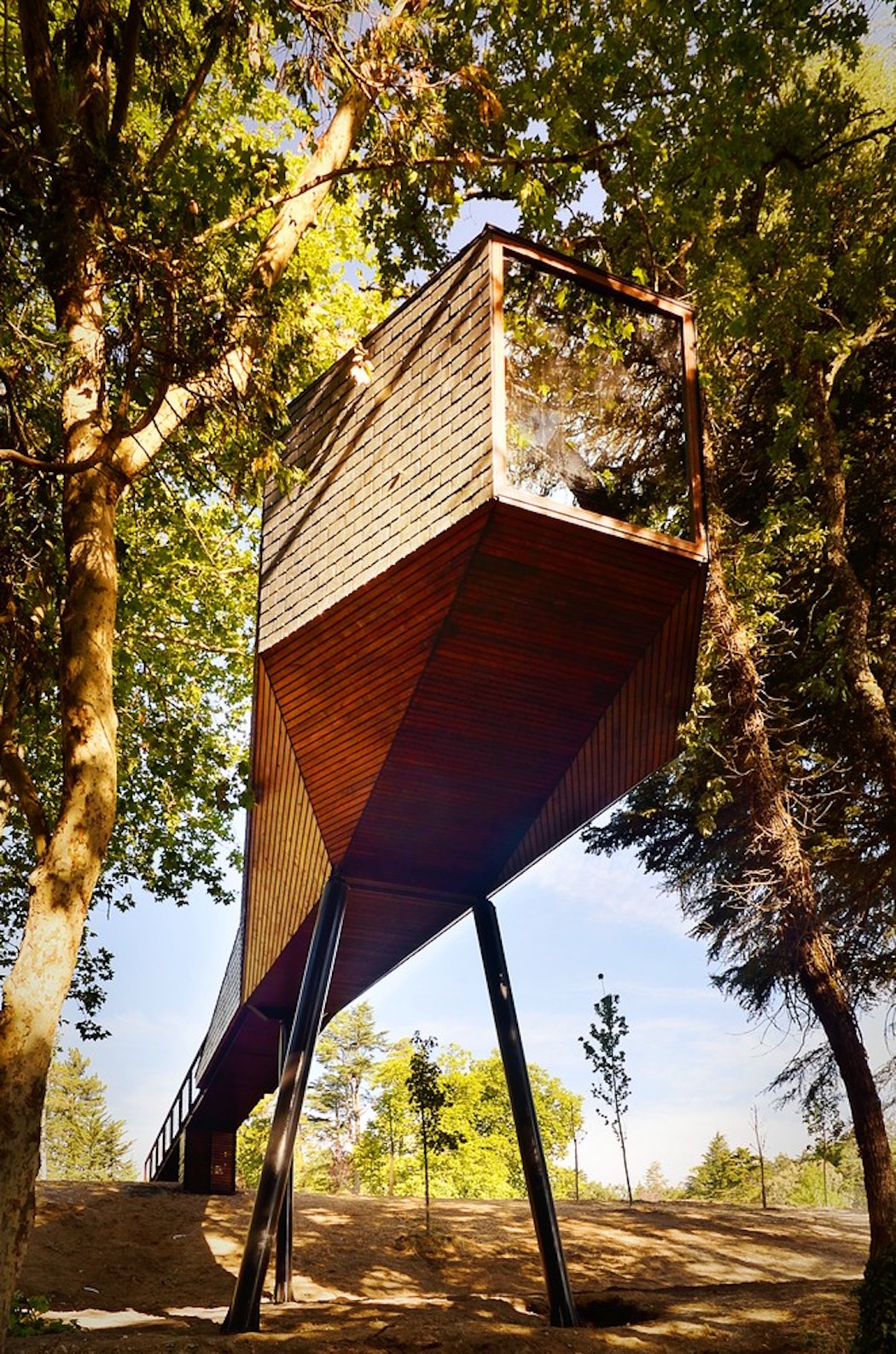 Tree Snake Houses Gliding Between Trees - IGNANT