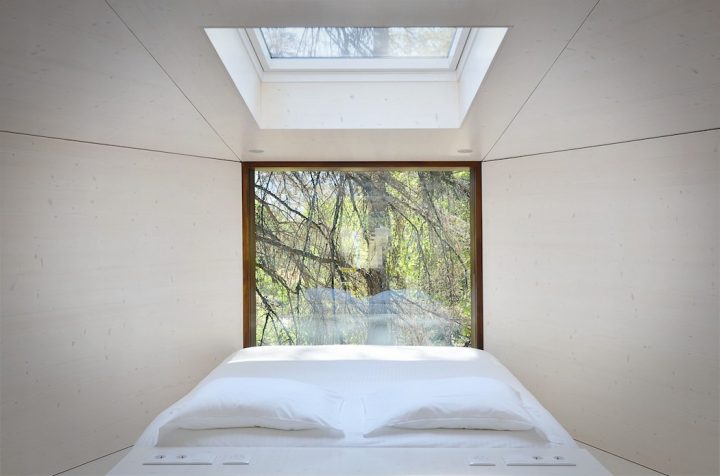 Tree Snake Houses Gliding Between Trees - IGNANT