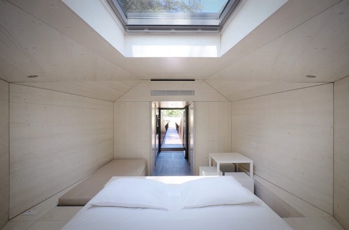 Tree Snake Houses Gliding Between Trees - IGNANT