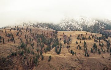 On Tour Across Canada - IGNANT