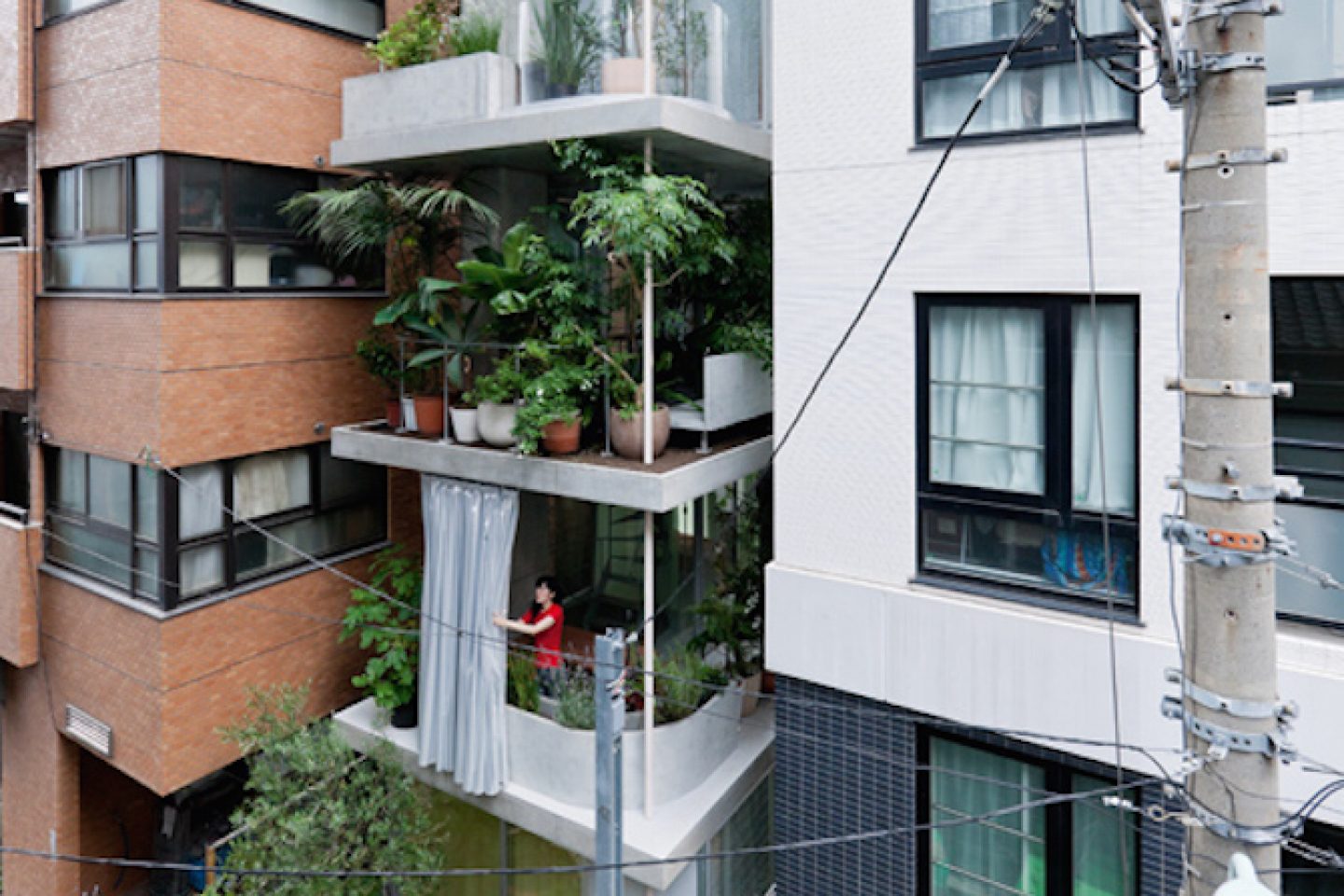 House And Garden By Ryue Nishizawa - IGNANT