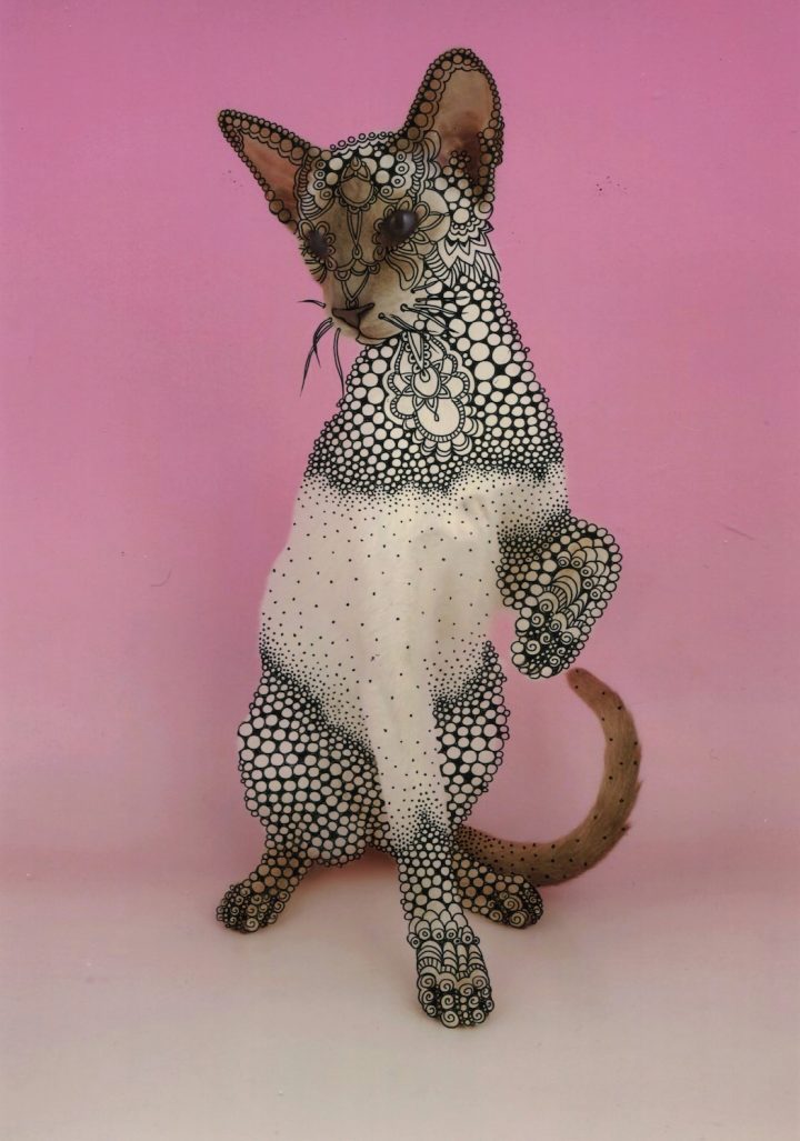 Satisfying Patters And Prints With Alana Dee Haynes - IGNANT