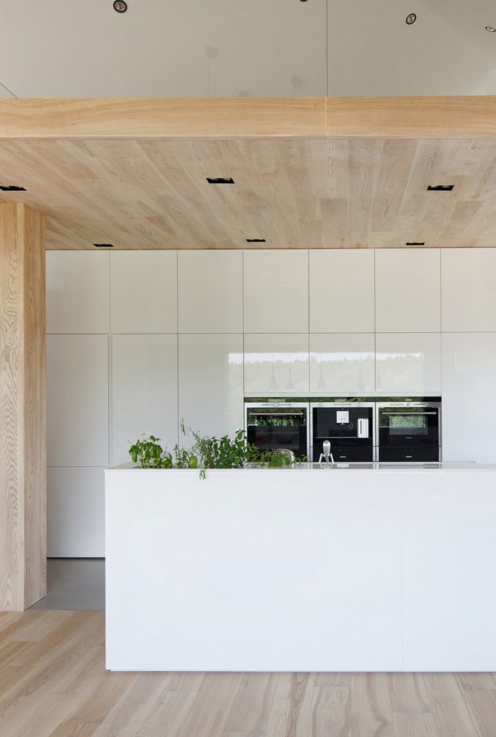 A Modern House In The Polish Village - IGNANT