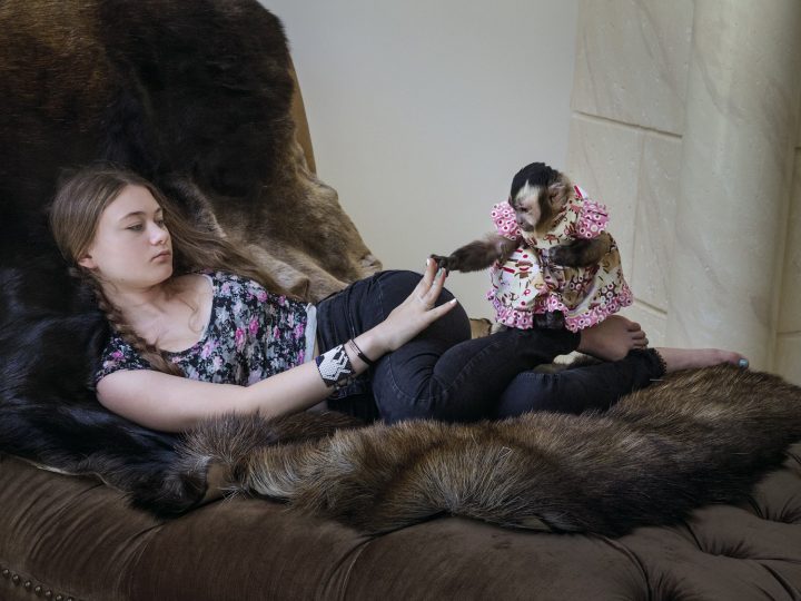 Amelia And The Animals By Robin Schwartz - IGNANT
