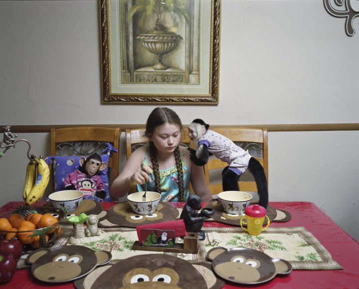 Amelia And The Animals By Robin Schwartz - IGNANT