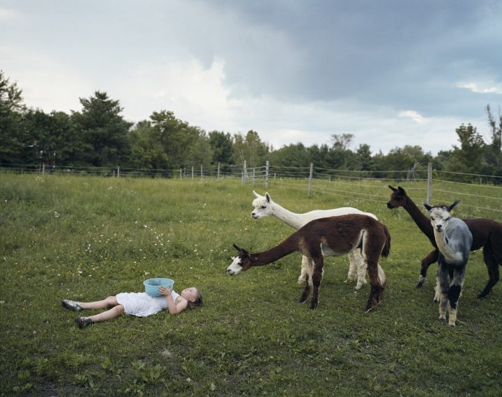 Amelia And The Animals By Robin Schwartz - IGNANT