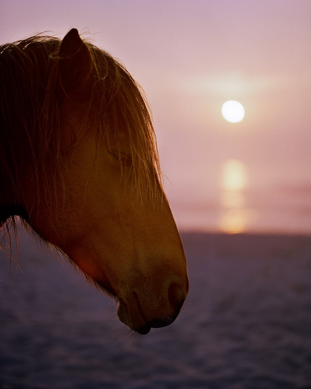 A Life In Glimpses By Caroline Tompkins - IGNANT