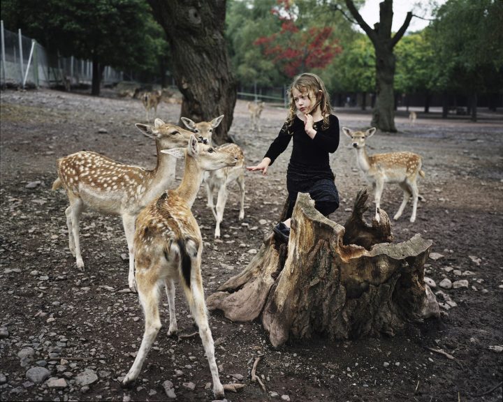 Amelia And The Animals By Robin Schwartz - IGNANT