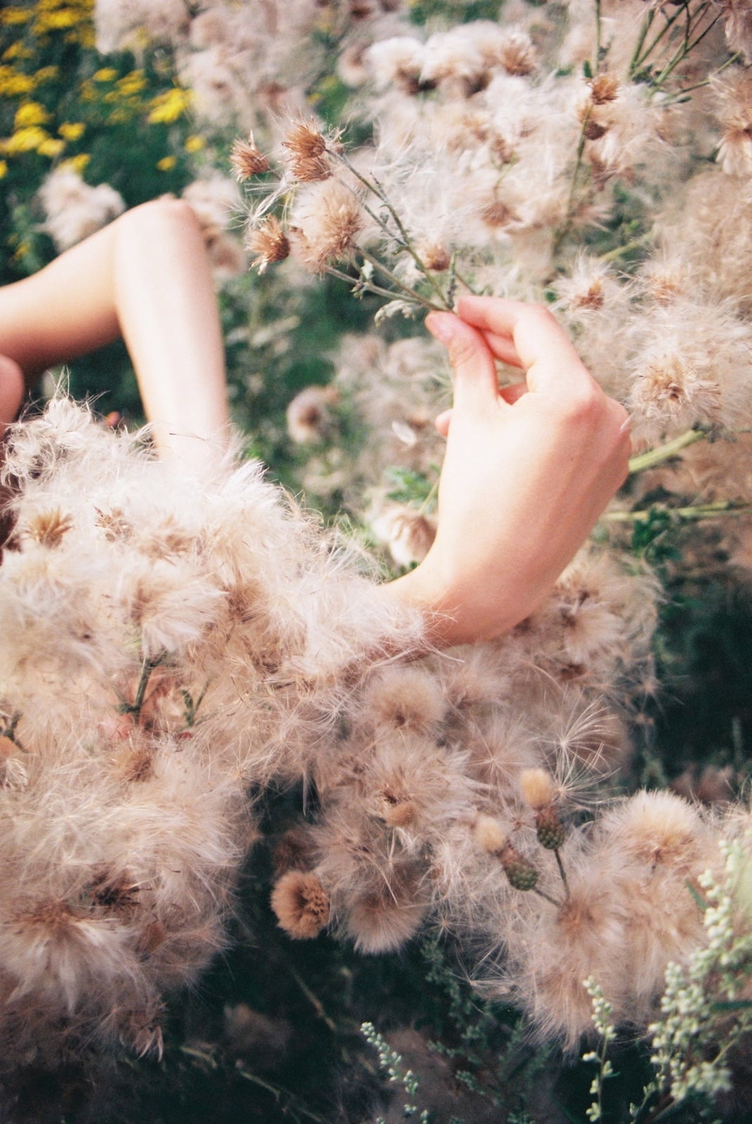 Lukasz Wierzbowski's Daily Life - IGNANT