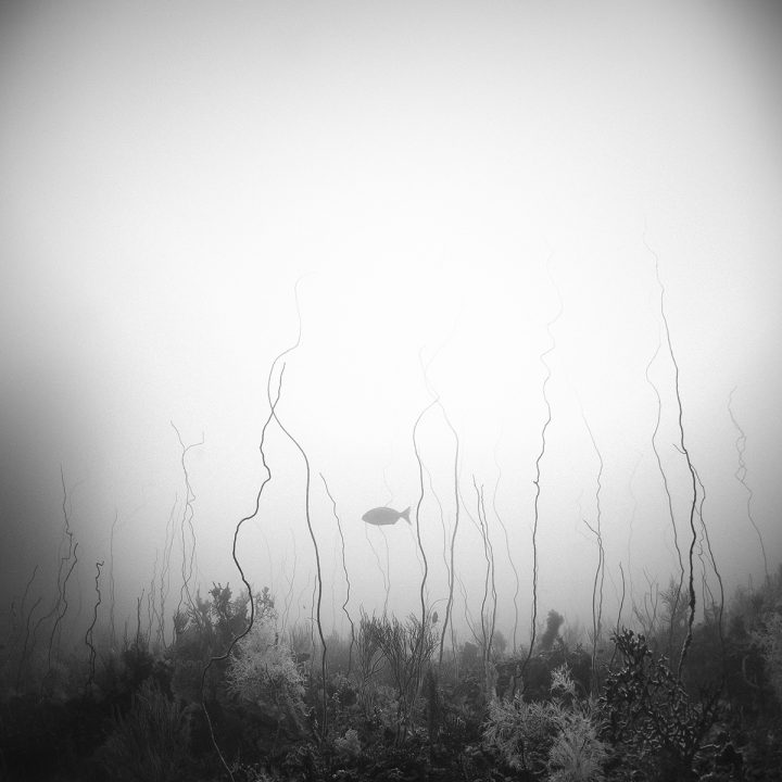 Atmospheric Photography By Hengki Koentjoro - IGNANT