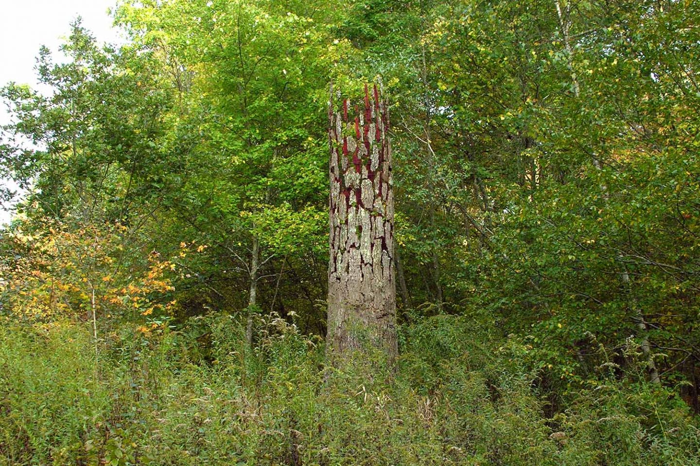 Incredible Land Art Installations By Cornelia Konrads - IGNANT