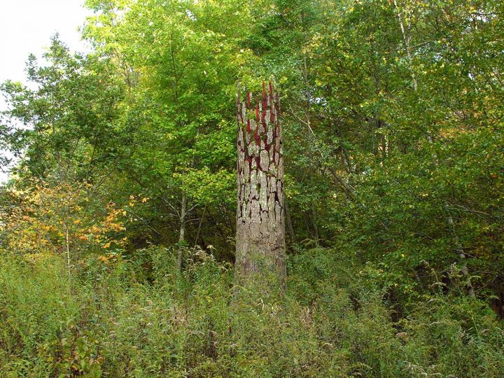 Incredible Land Art Installations By Cornelia Konrads - IGNANT