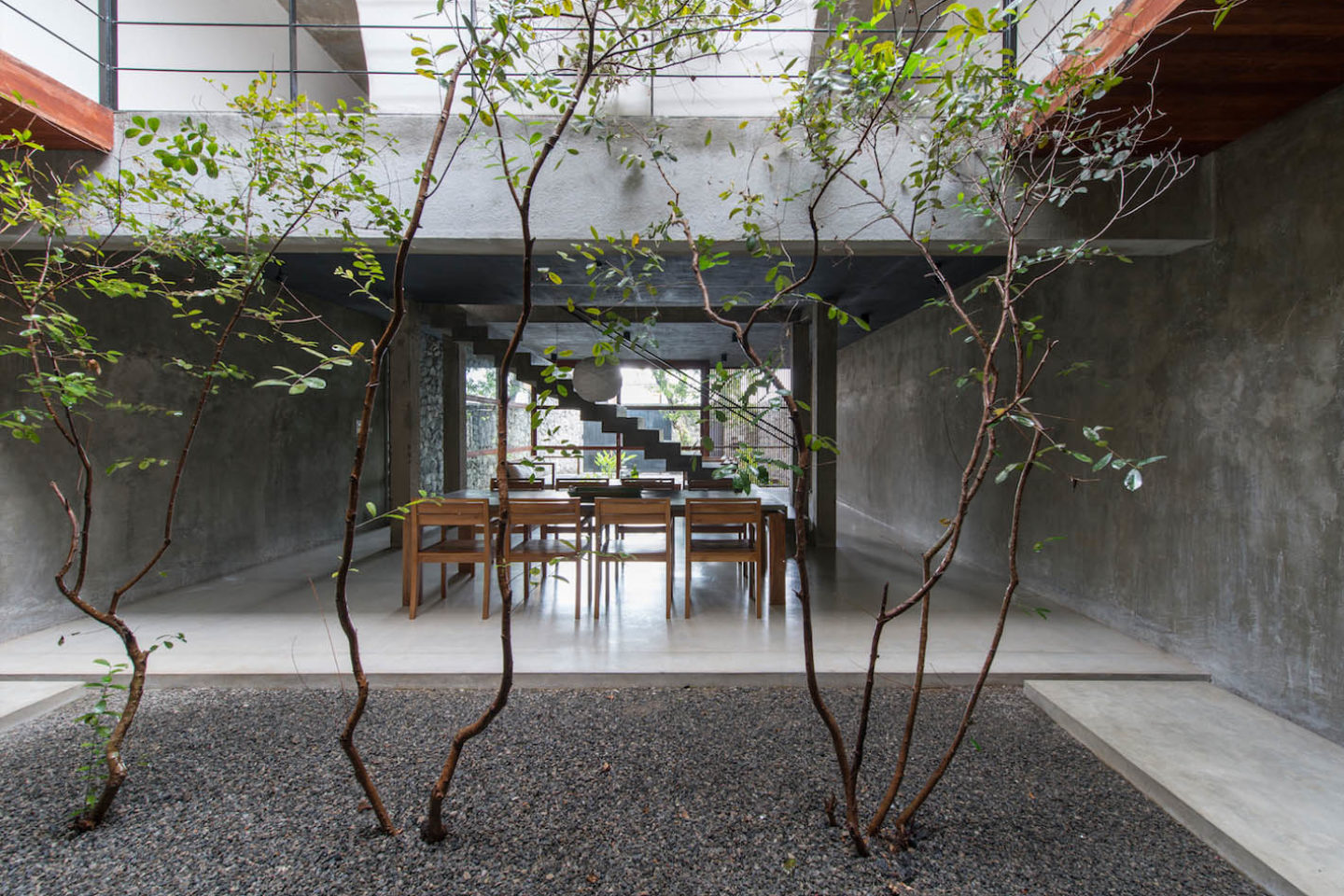 A Tangled Residential Complex: Akihisa Hirata's Tree-Ness House - IGNANT