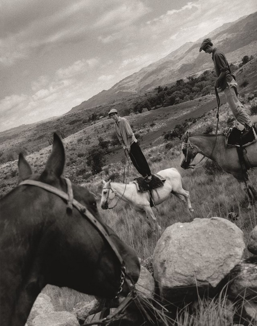 Holland & Holland Introduces The New Collection - IGNANT