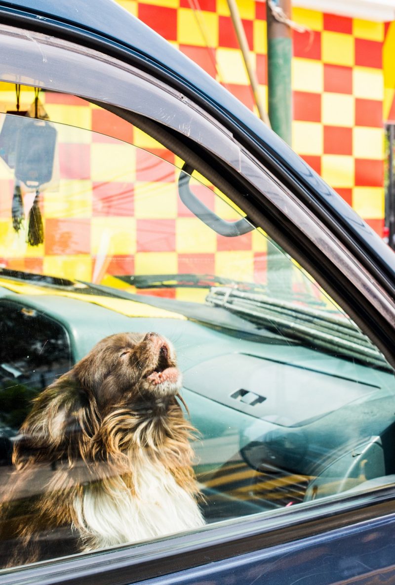 The Colorful Universe Of Will Sanders - IGNANT