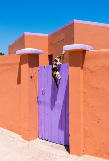 The Colorful Universe Of Will Sanders - IGNANT