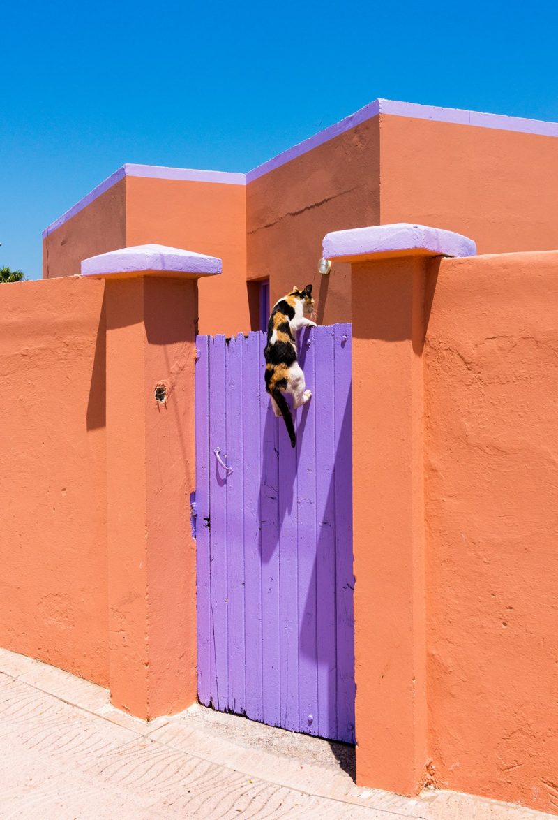 The Colorful Universe Of Will Sanders - IGNANT