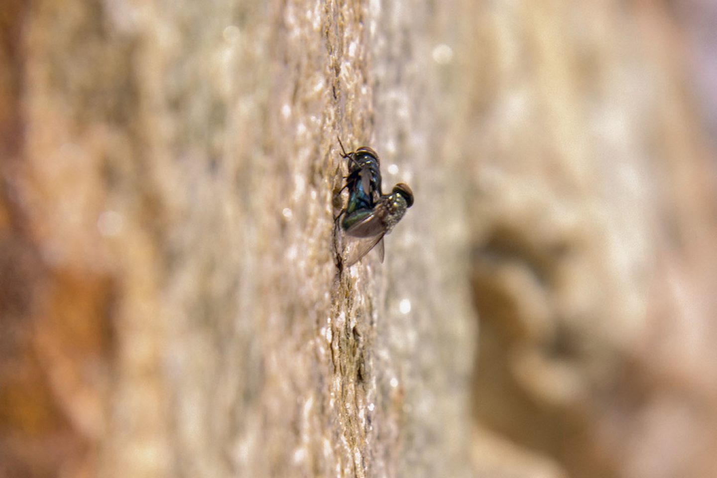 Discovering Masculinity Through The Lens Of David Billet - IGNANT