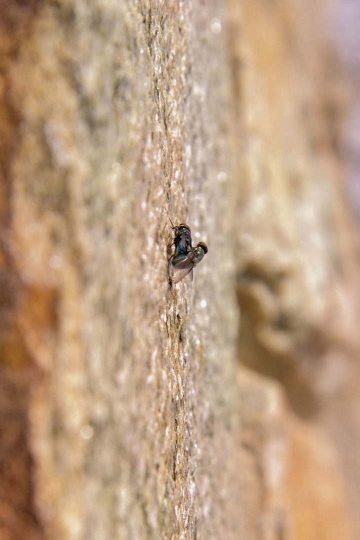 Discovering Masculinity Through The Lens Of David Billet - IGNANT