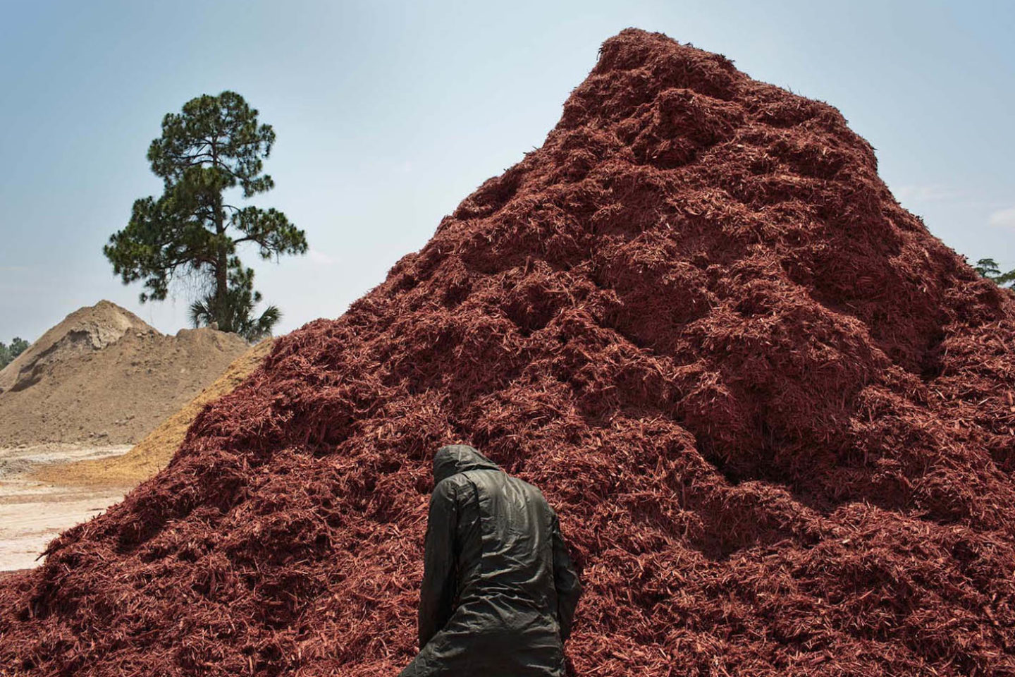 Sensual Close-Ups By Marius Sperlich - IGNANT