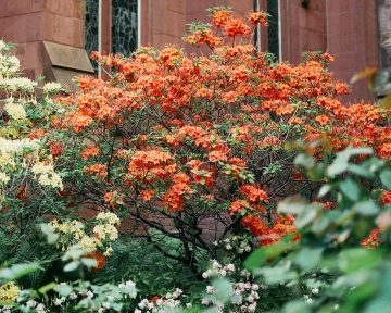 Alexander Rotondo Captures Moments In Between Days - IGNANT