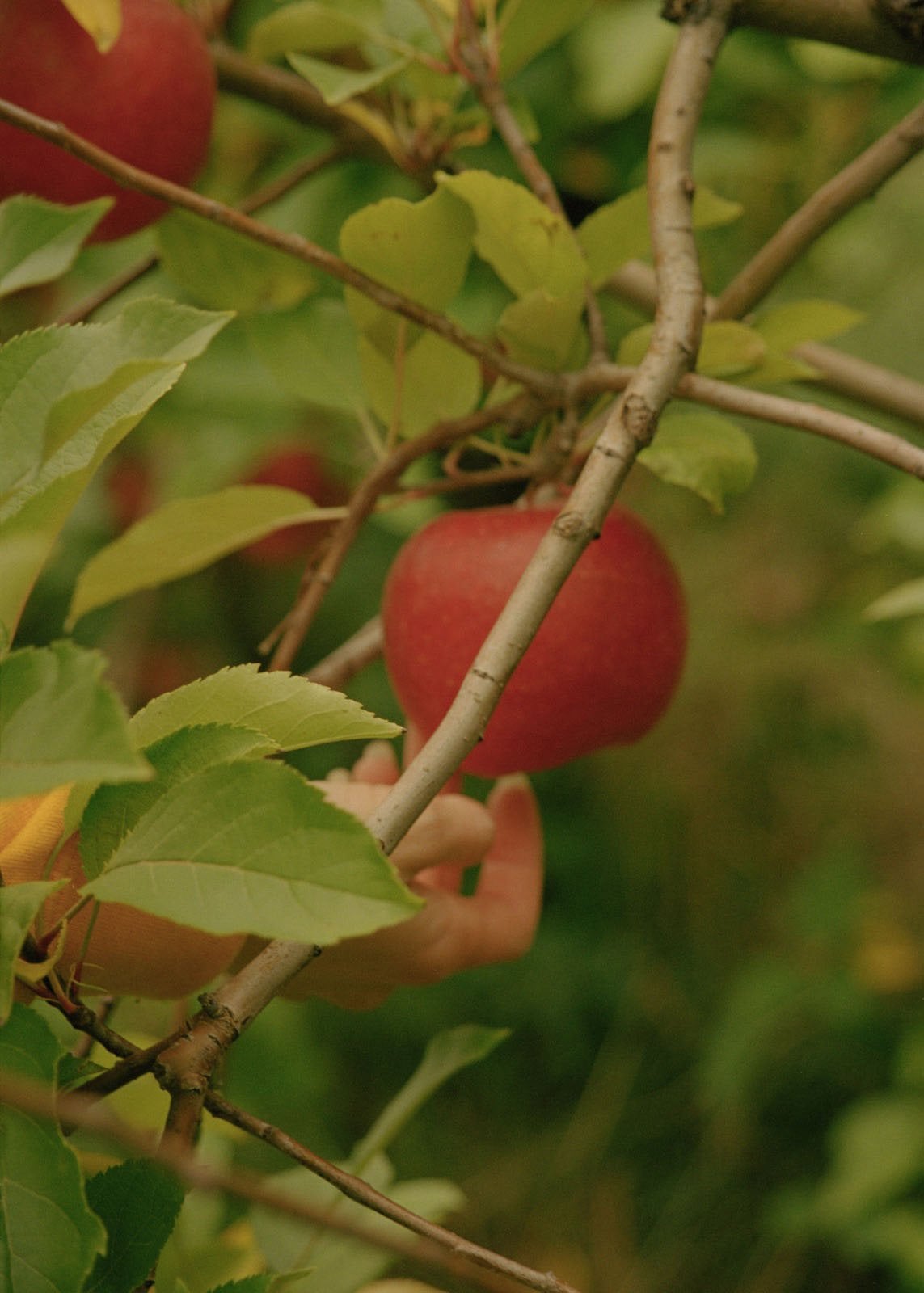 Alexander Rotondo Captures Moments In Between Days - IGNANT