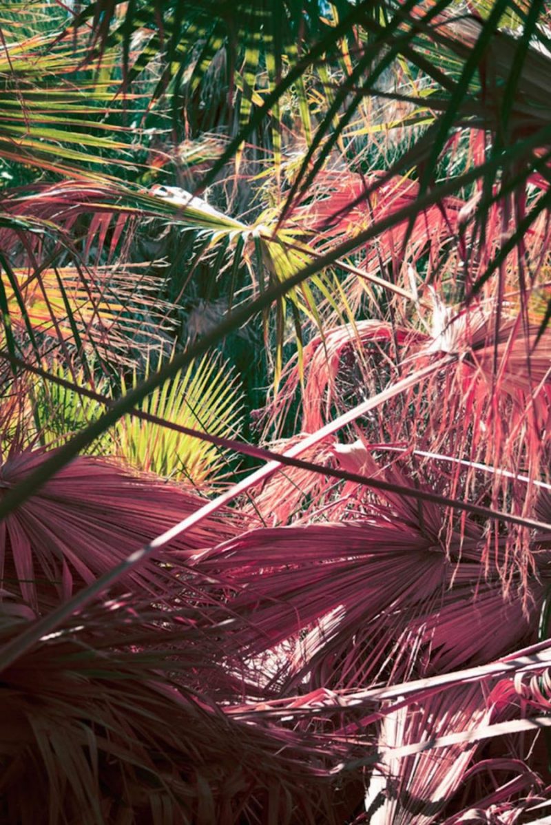 Delaney Allen’s Otherworldly Photography Blurs Fact And Fiction - IGNANT